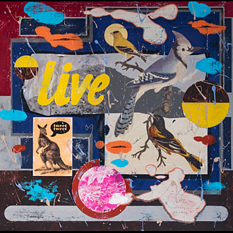 Colin Brown | Contemporary Scottish Artist